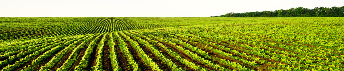 About us | Union Chemicals